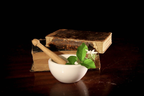 Getting A Degree in Traditional Naturopathy — FAQs ...