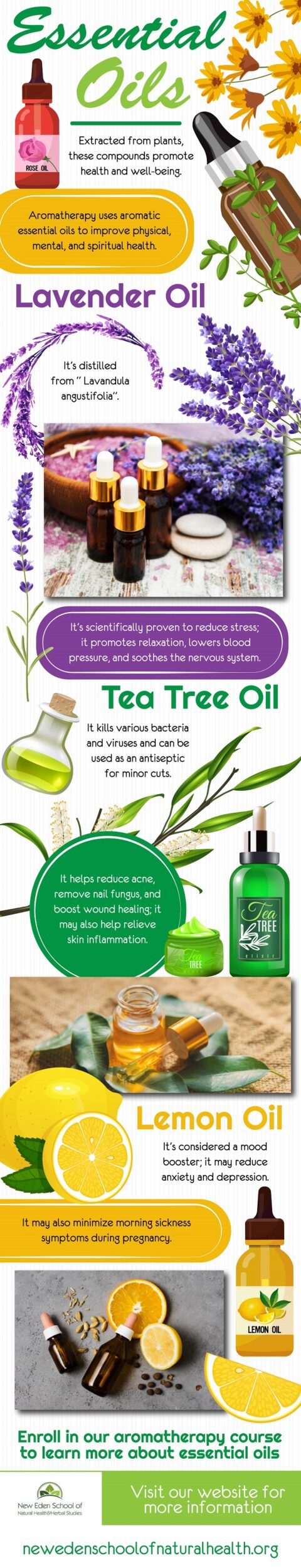 Essential Oils - An Infographic - newedenschoolofnaturalhealth